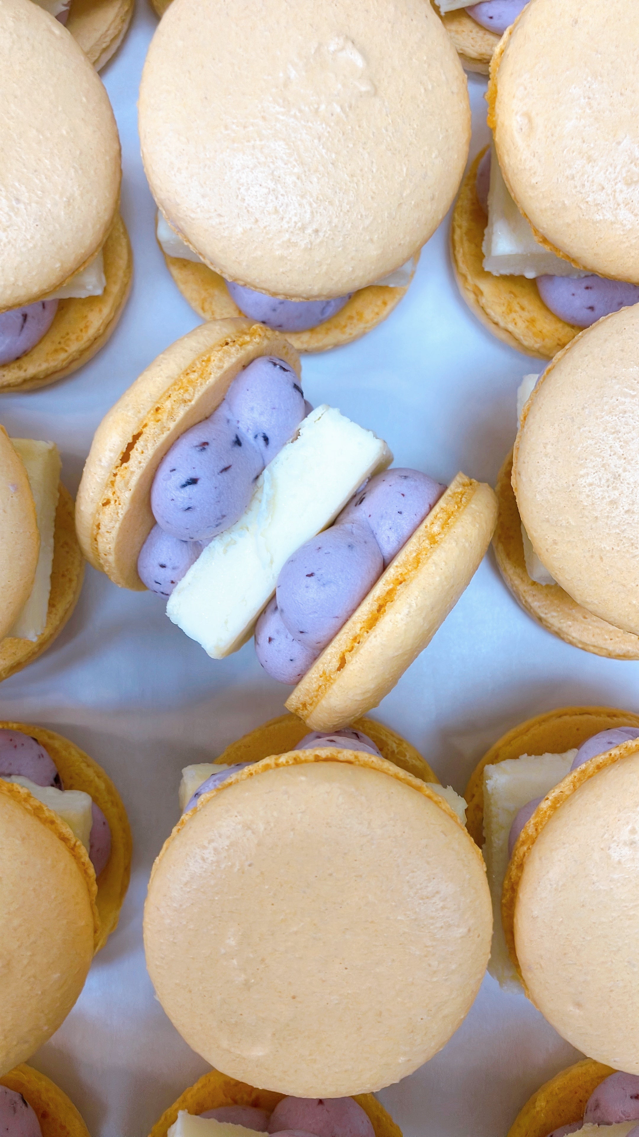 blueberry cheesecake macaron | oh honey macaron