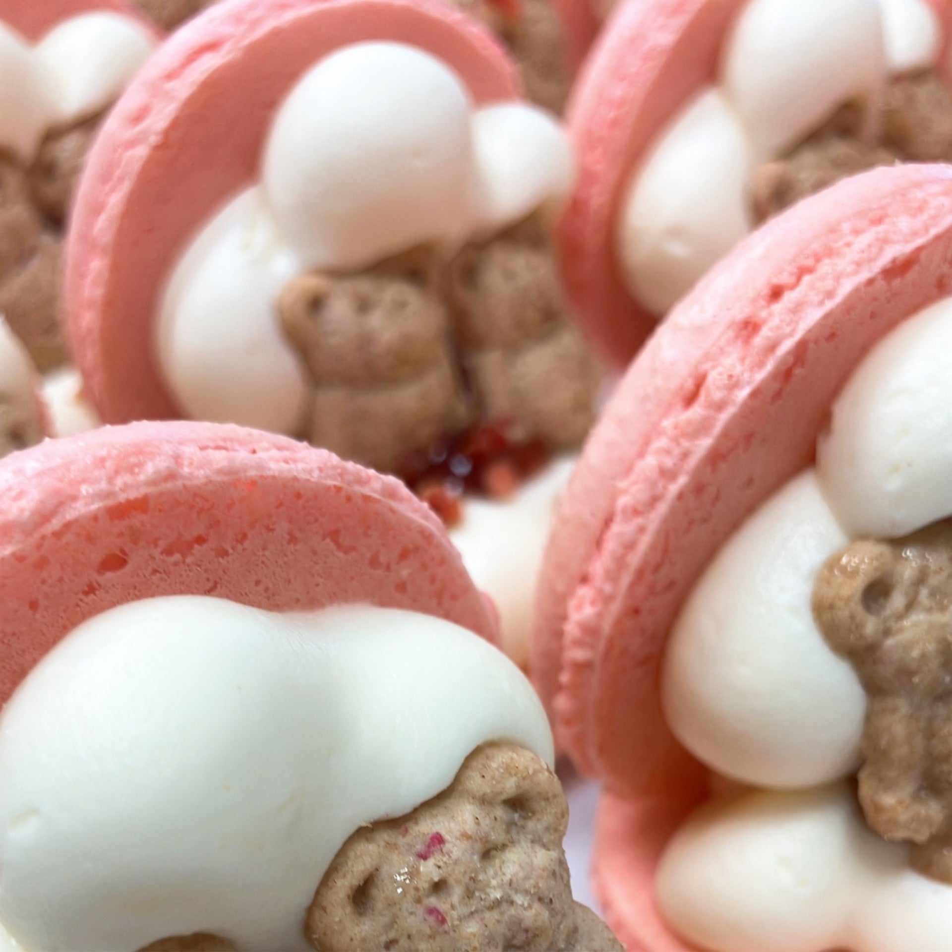 strawberry cream cheese macaron | oh honey macaron